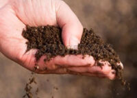 How to Compost Pig Manure? | Solutions | Fertilizer Equipment