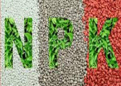 NPK Fertilizer Production Line | 2 Manufaturing Process | Machine Cost